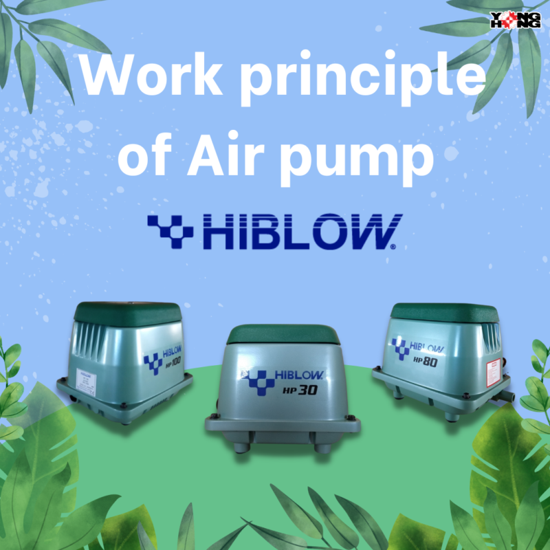 Work principle of Air Pump Hiblow - Pumpular.com