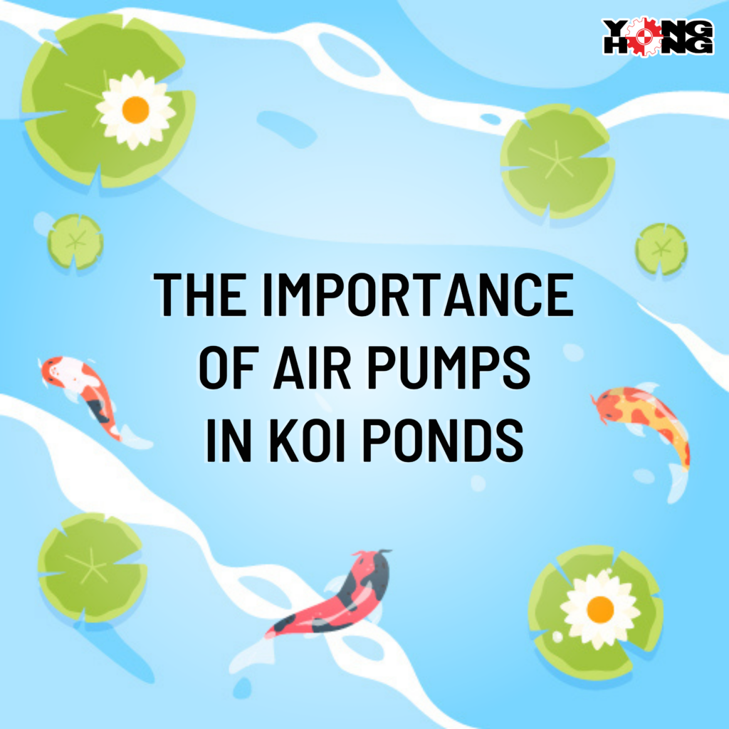 The importance of air pumps in koi ponds - Pumpular.com